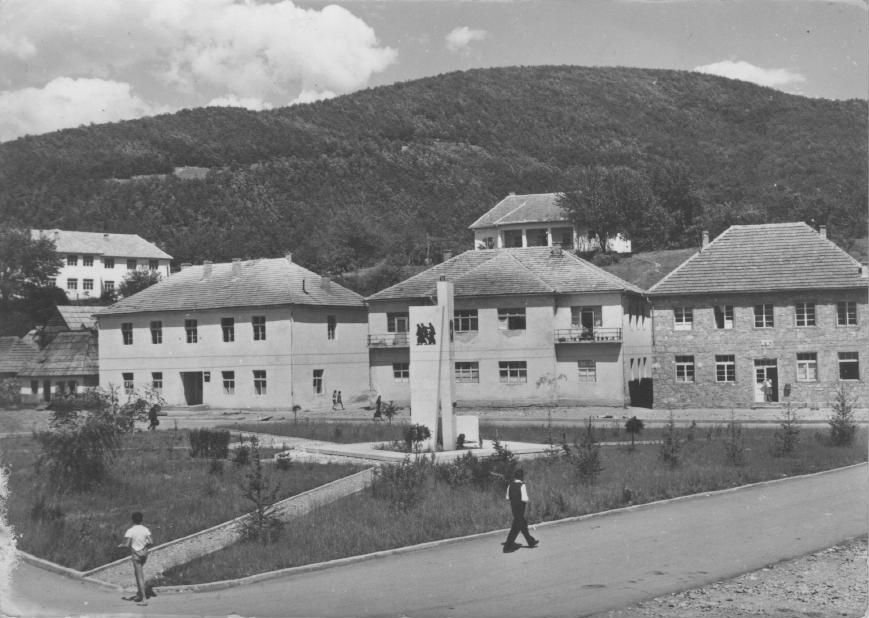 O Mojkovcu