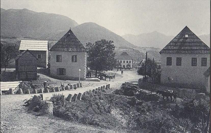O Mojkovcu